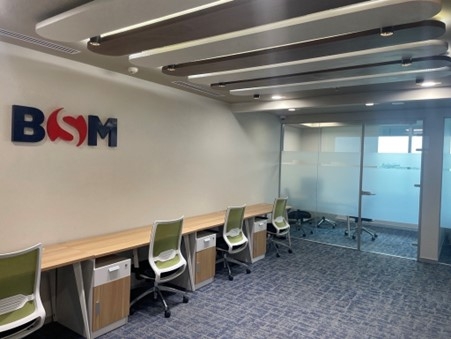 BSM Training Foundation (India)